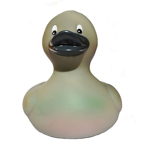 Pigeon Rubber Duck | Buy premium rubber ducks online - world wide delivery