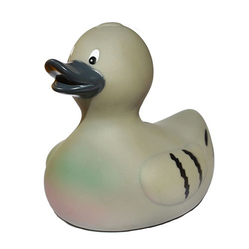 Pigeon Rubber Duck | Buy premium rubber ducks online - world wide delivery